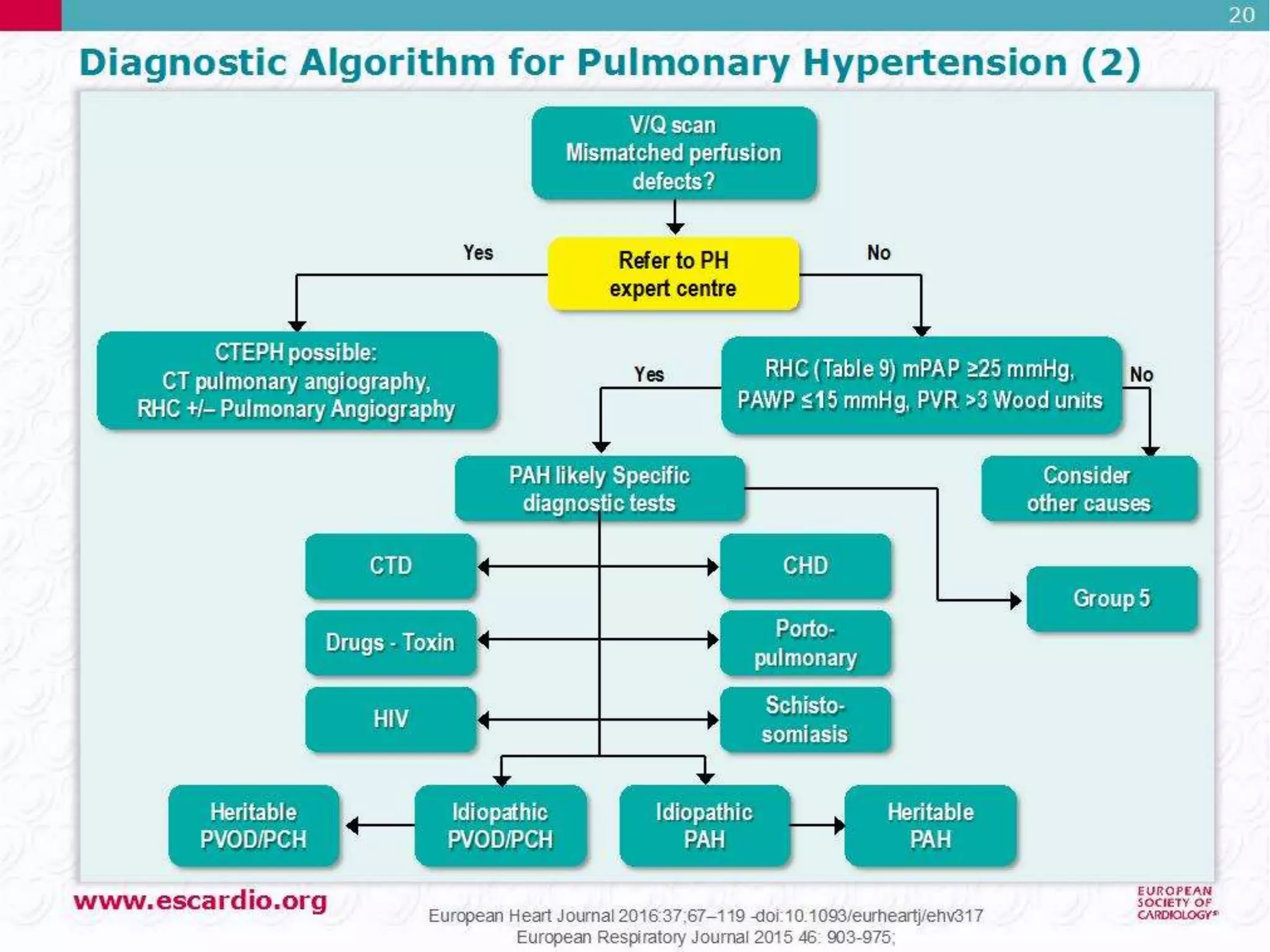 Pulmonary Hypertension: Guideline Directed Management | PPT