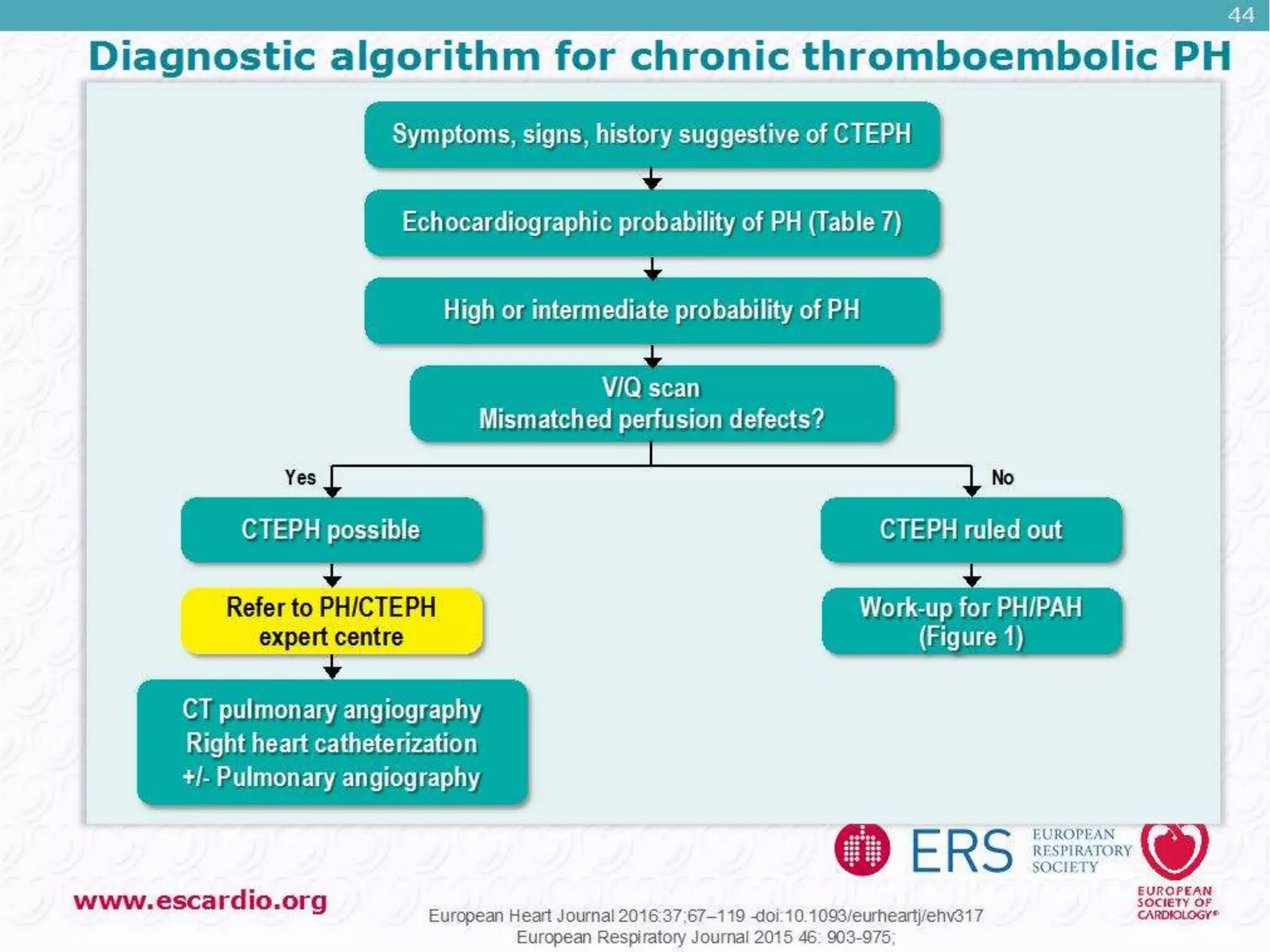 Pulmonary Hypertension: Guideline Directed Management | PPT