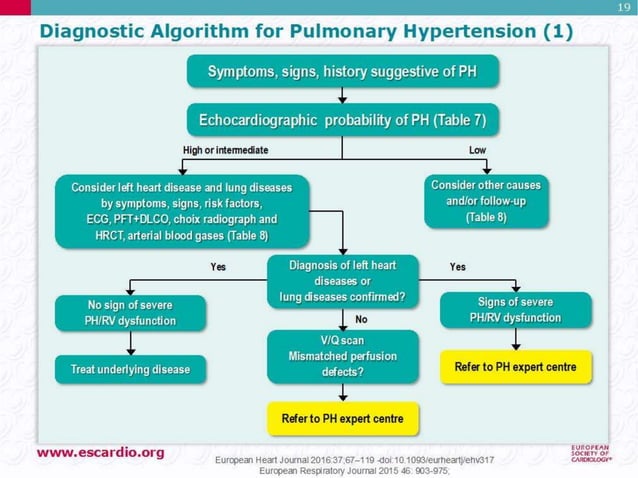 Pulmonary Hypertension: Guideline Directed Management | PPT
