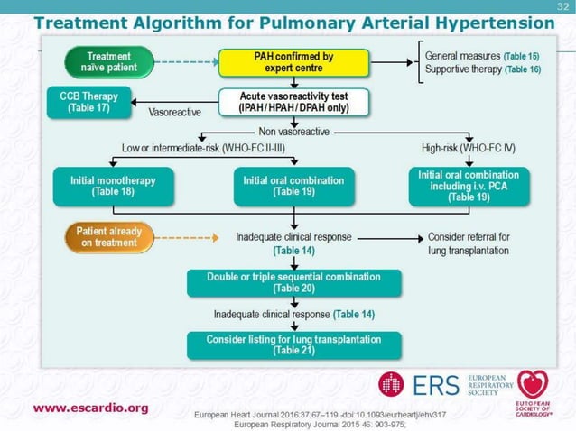 Pulmonary Hypertension: Guideline Directed Management | PPT