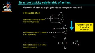 3. Amines lecture 3 3feb (1) (1).pdf