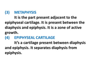 3. parts of bones (1).pptx