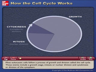 3. Cell Cycle.pptx