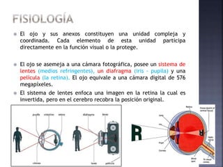 3. FISIOLOGÍA DE LA VISIÓN.pptx