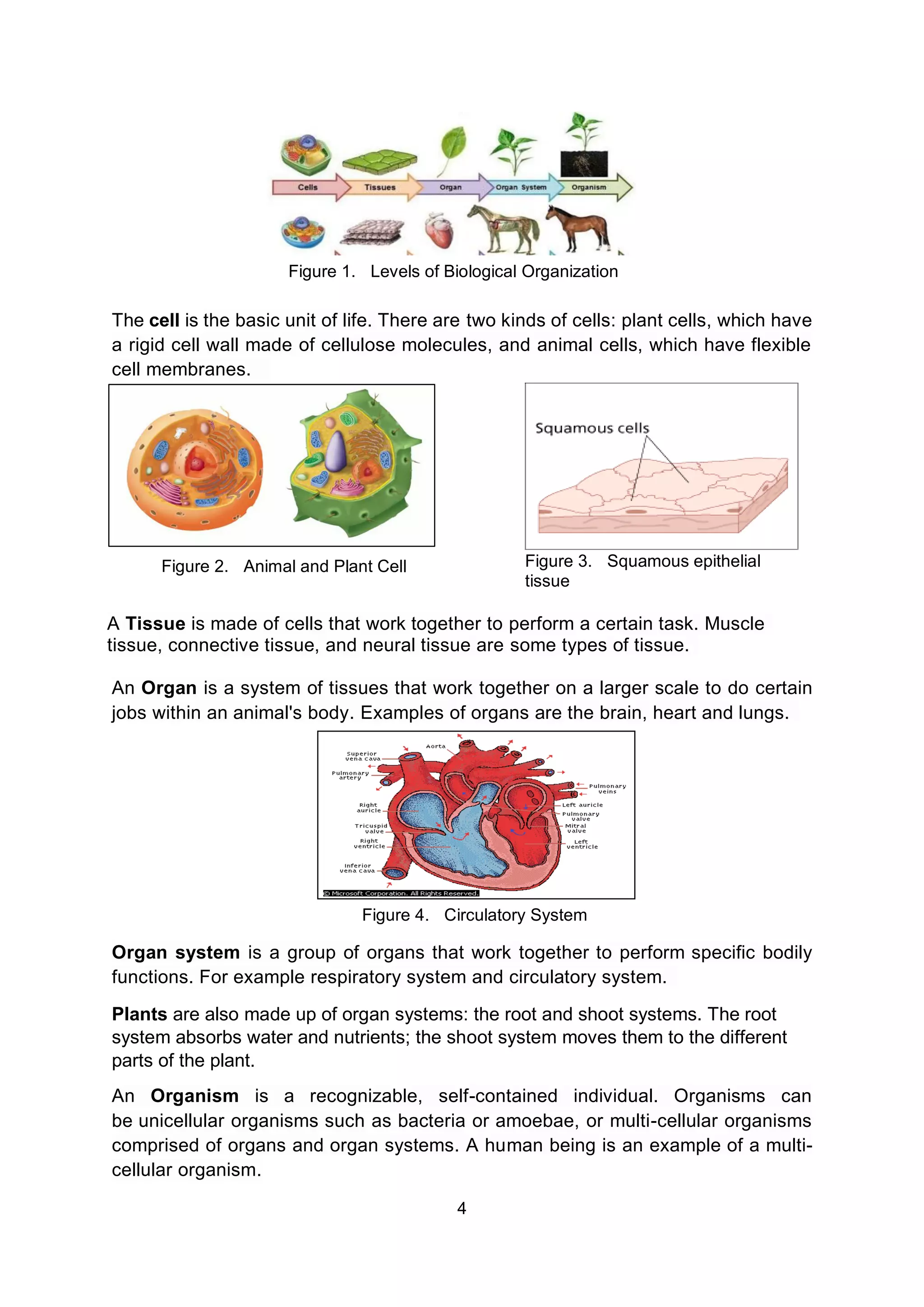 3. Grade-7-SLM-Q2-Module-2-Levels-of-Biological-Organization-2nd-Ed.pdf