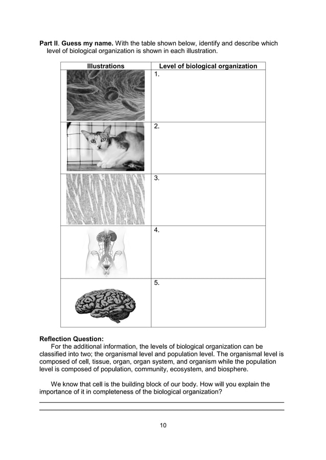 3. Grade-7-SLM-Q2-Module-2-Levels-of-Biological-Organization-2nd-Ed.pdf ...
