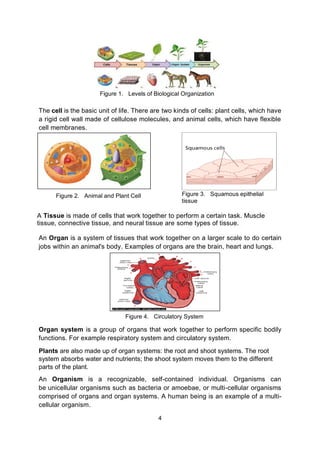 3. Grade-7-SLM-Q2-Module-2-Levels-of-Biological-Organization-2nd-Ed.pdf