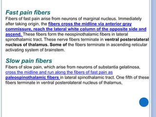 3.Physiology of Pain.ppt