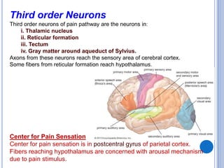 3.Physiology of Pain.ppt