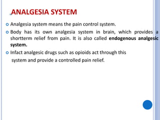 3.Physiology of Pain.ppt