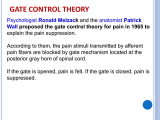 3.Physiology of Pain.ppt