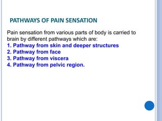 3.Physiology of Pain.ppt