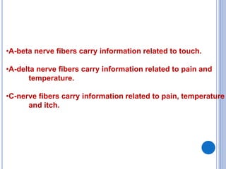 3.Physiology of Pain.ppt