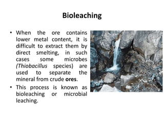 3. SCOPE OF MICROBIOLOGY.pptx