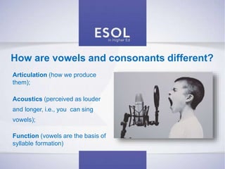 3.5MannerArticulation linguistics | PPT