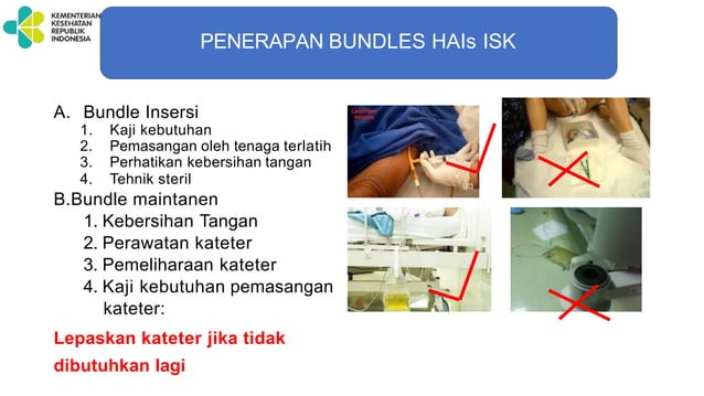3. BUNDLES HAIS-ppt - Copy.pptx