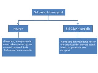 3. histologi syaraf 2016.pdf