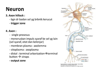 3. histologi syaraf 2016.pdf