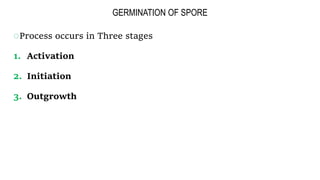 3. Spores.pptx