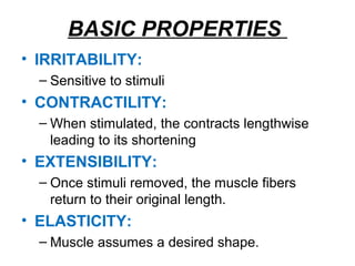 3.pdf