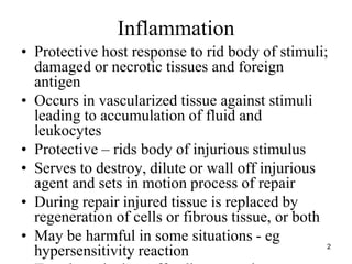 3. Inflammation.ppt