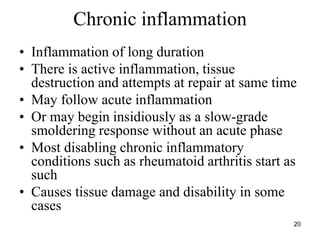 3. Inflammation.ppt