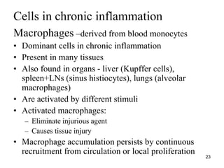 3. Inflammation.ppt