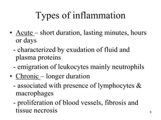 3. Inflammation.ppt