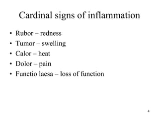 3. Inflammation.ppt