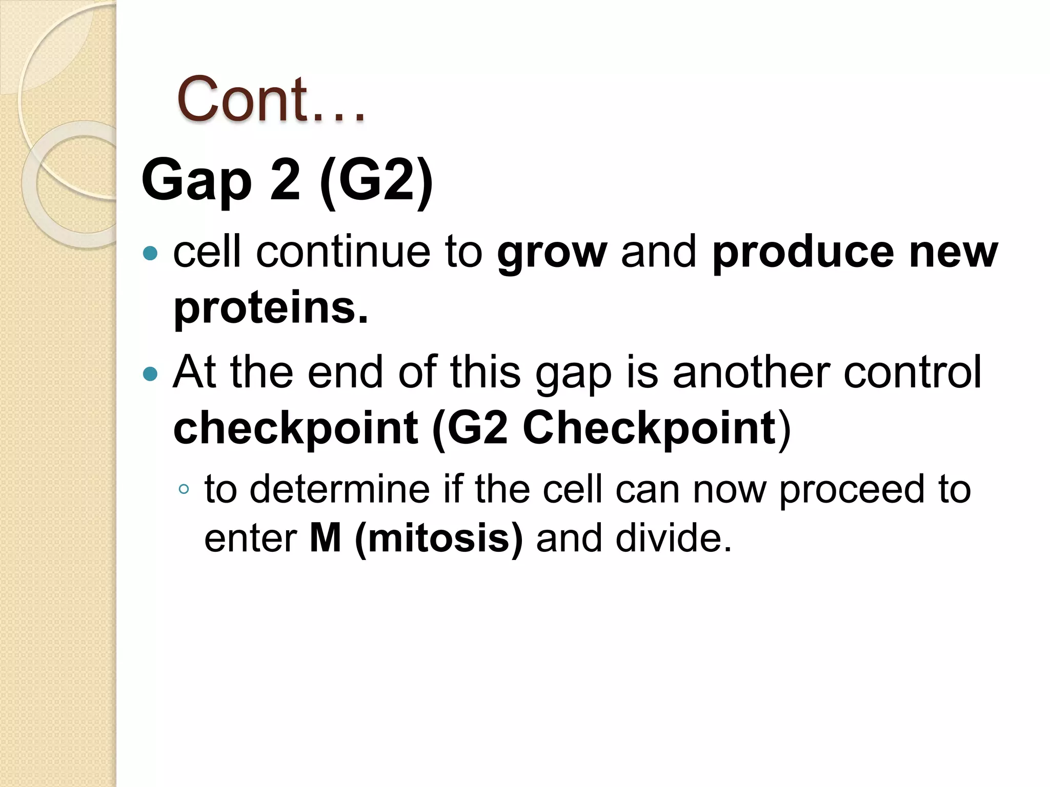 3. CELL CYCLE.pptx