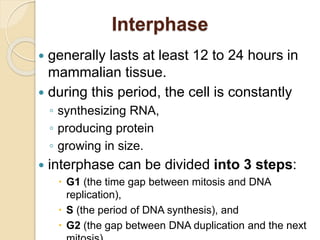 3. CELL CYCLE.pptx