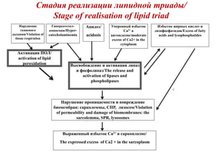 3.pptx