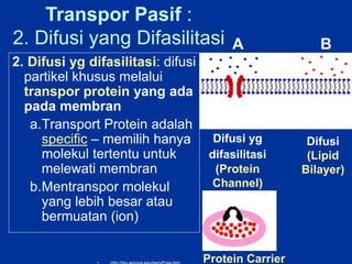 3.Transport melalui membran.ppt