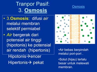 3.Transport melalui membran.ppt