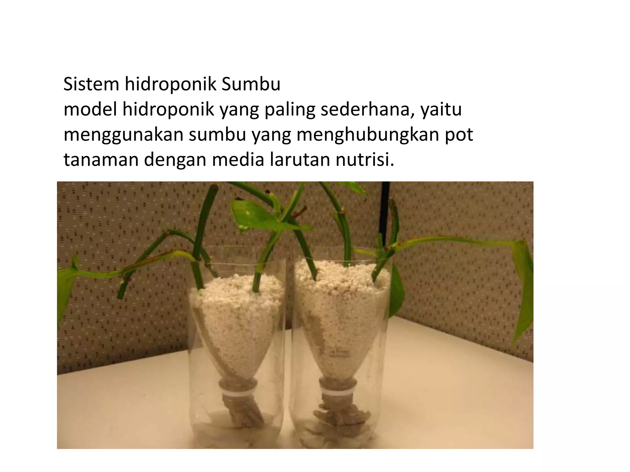 3. JENIS-JENIS HIDROPONIK.ppt