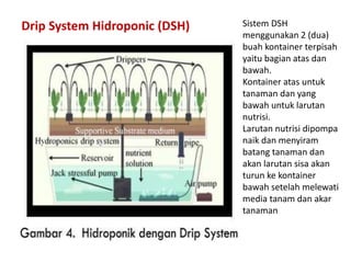 3. JENIS-JENIS HIDROPONIK.ppt
