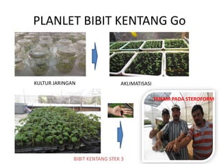 3. JENIS-JENIS HIDROPONIK.ppt