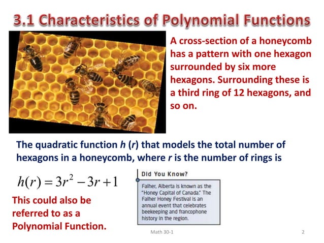 3.1 Characteristics of Polynomial Functions.pptx | Physics | Science