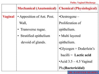 3.5 - Pathological Vaginal Discharge.pdf