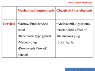 3.5 - Pathological Vaginal Discharge.pdf