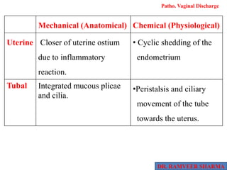 3.5 - Pathological Vaginal Discharge.pdf
