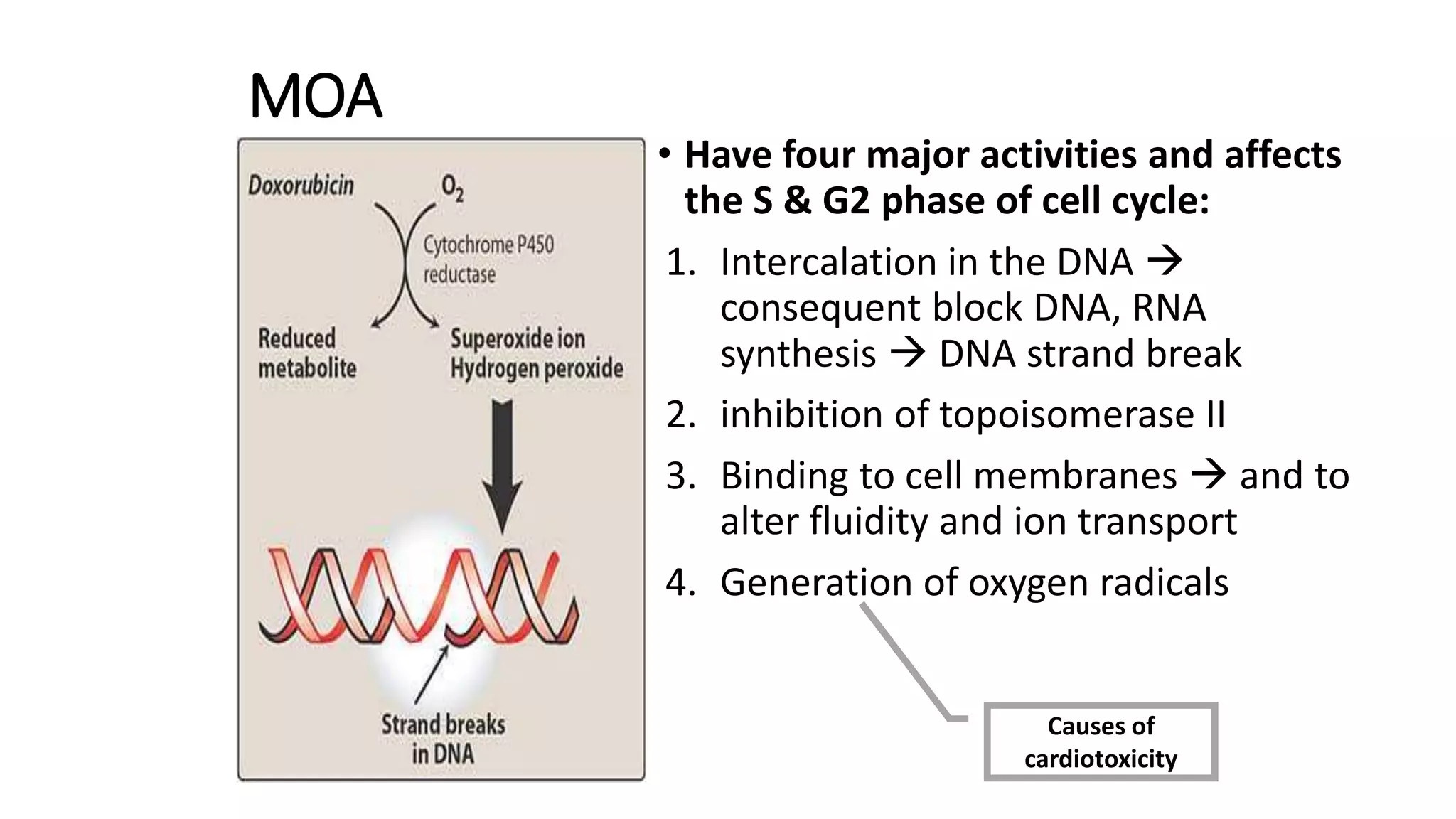 3. Natural products used in the cancer treatment.pptx