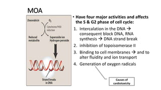 3. Natural products used in the cancer treatment.pptx