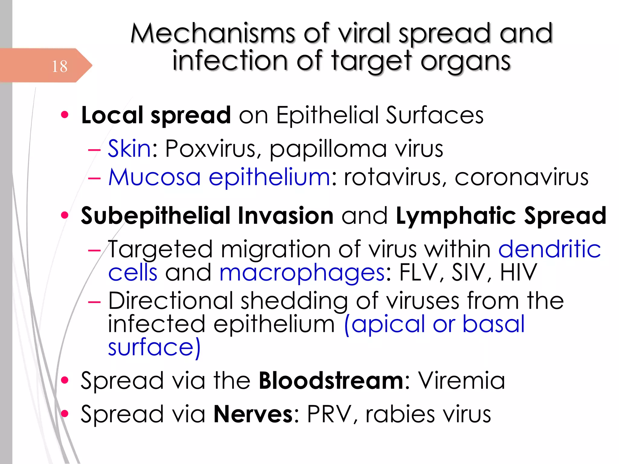 3. Pathogenesis of Viral Infections and Diseases.pdf