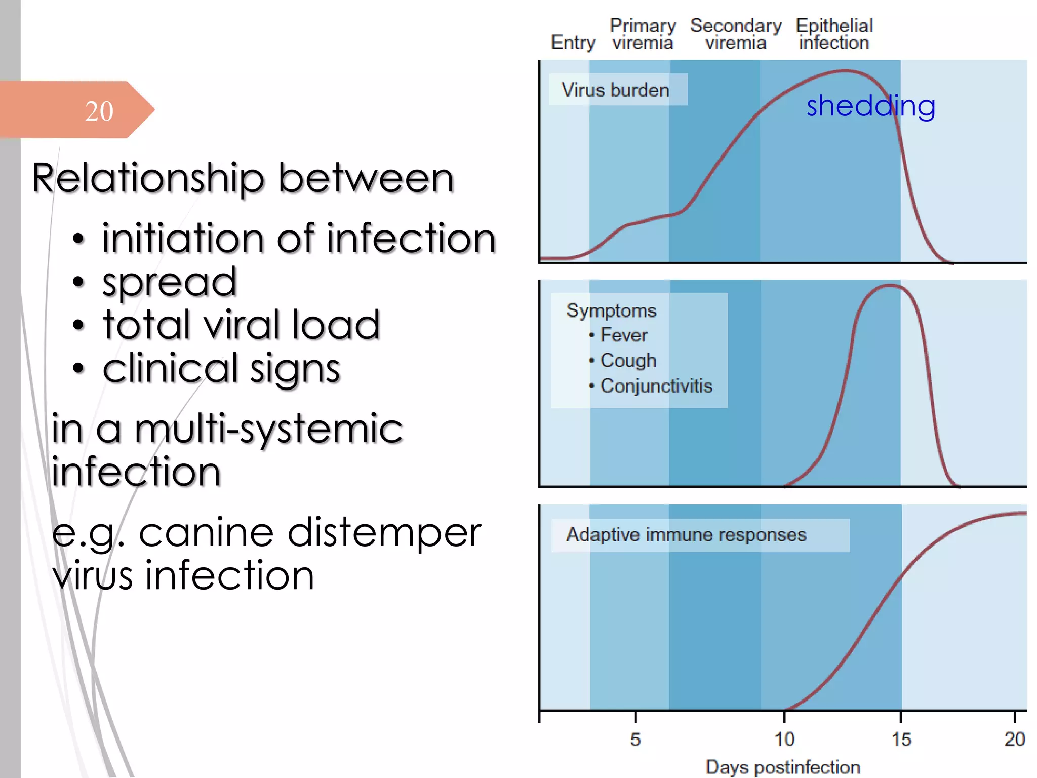 3. Pathogenesis of Viral Infections and Diseases.pdf