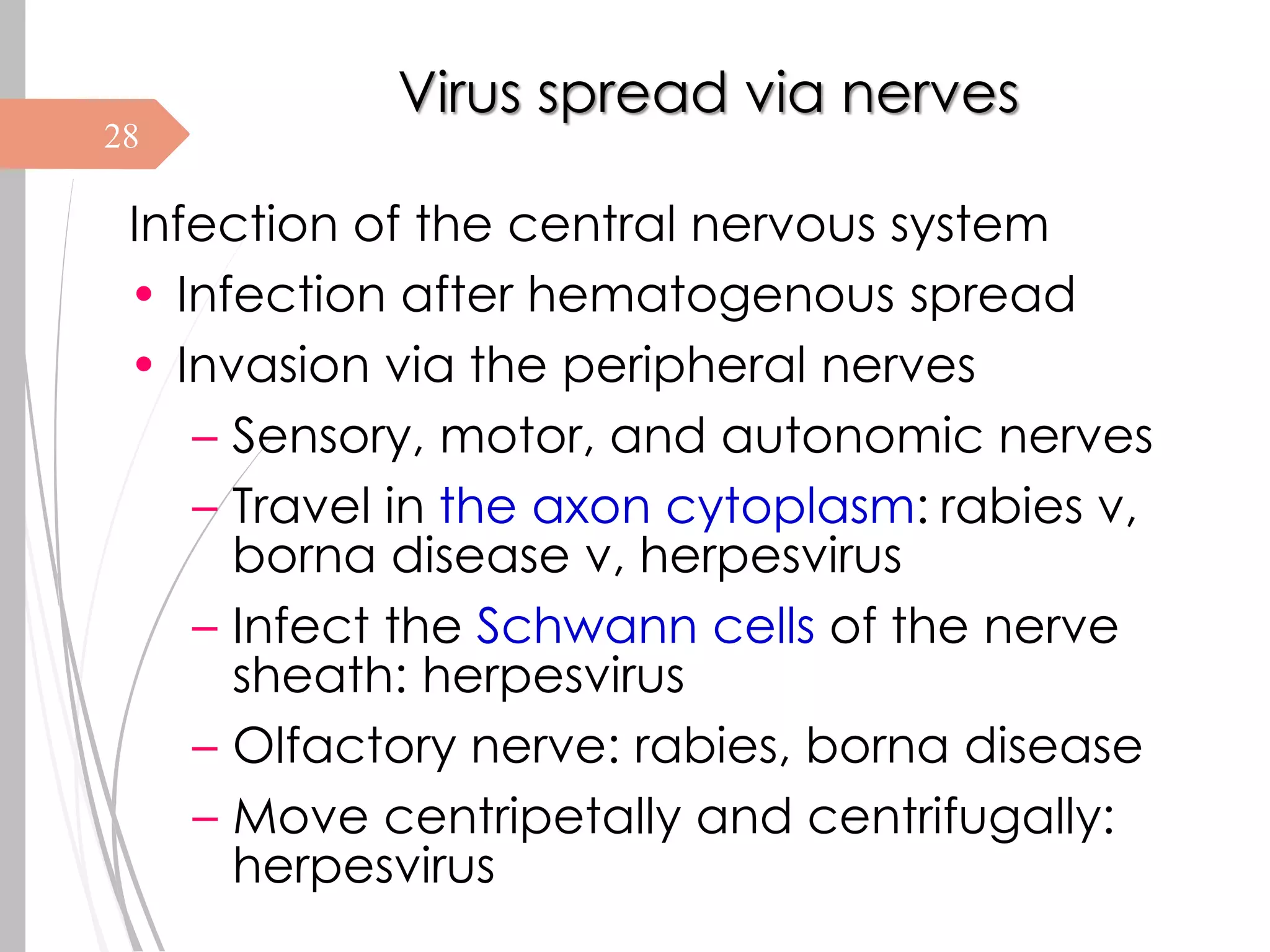 3. Pathogenesis of Viral Infections and Diseases.pdf