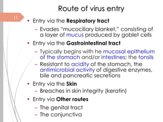 3. Pathogenesis of Viral Infections and Diseases.pdf