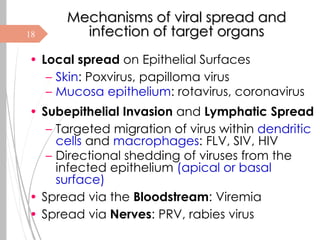 3. Pathogenesis of Viral Infections and Diseases.pdf