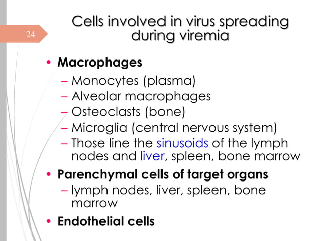 3. Pathogenesis of Viral Infections and Diseases.pdf | Biological ...