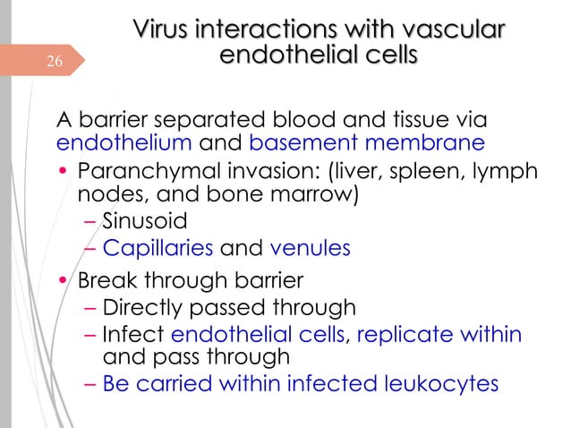 3. Pathogenesis of Viral Infections and Diseases.pdf | Biological ...